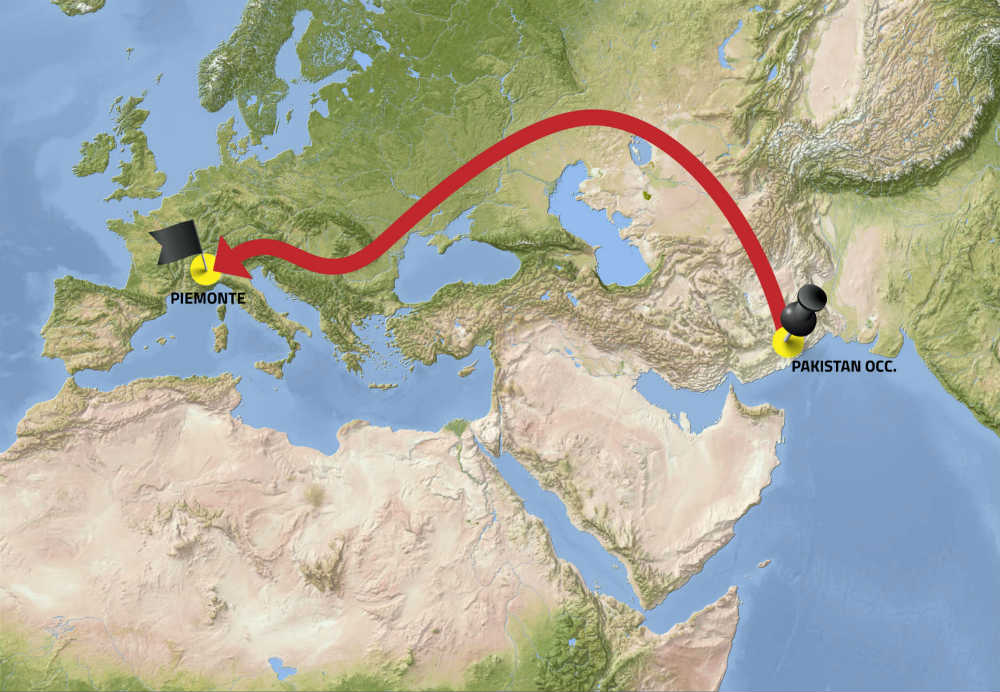 La Razza Piemontese: storia e caratteristiche della Fassona – Baldi ...